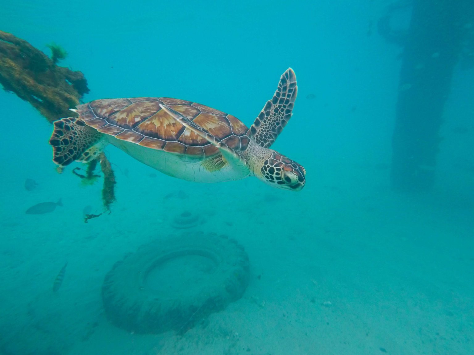 As melhores praias de Curaçao - Prefiro Mochilar